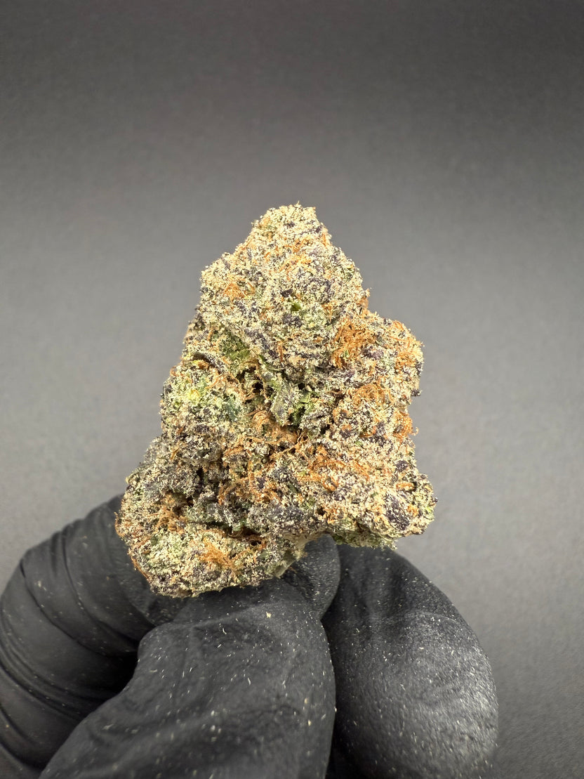 Exotics – Tesoro Hemp