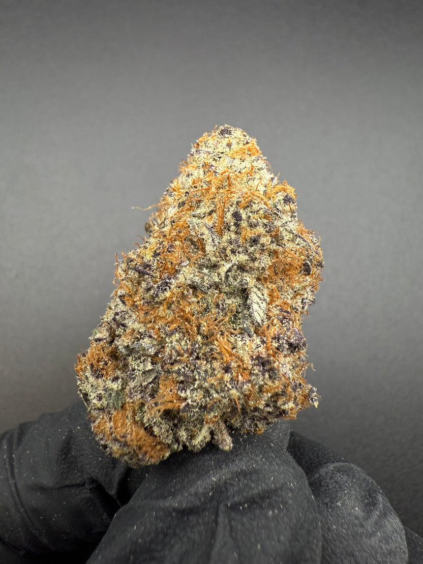 Exotics – Tesoro Hemp